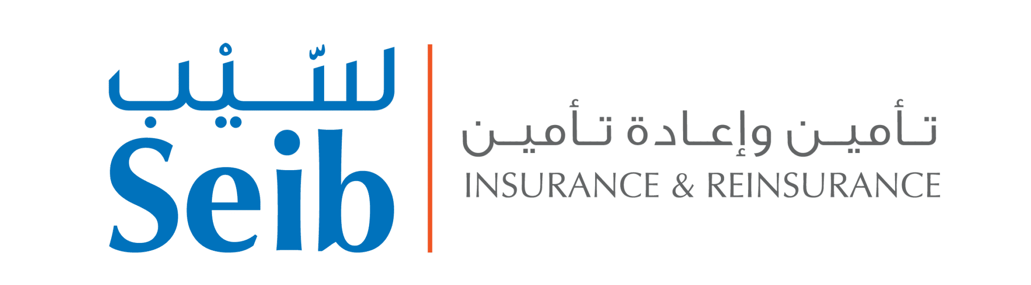 Insurance - Chedid Capital